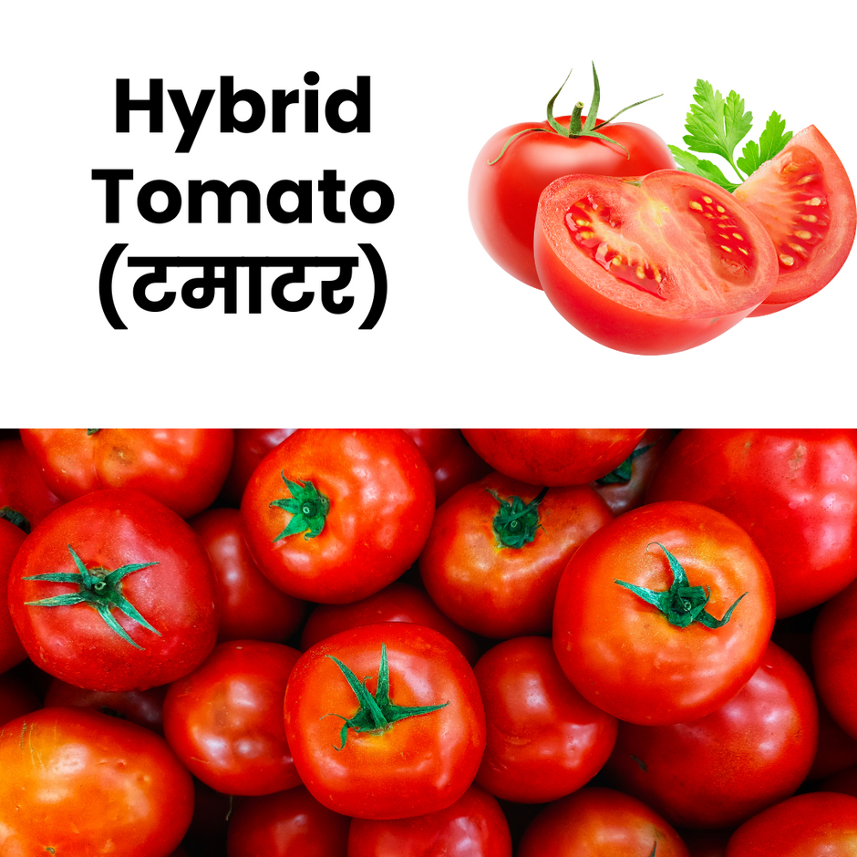 Fresh Vegetables – Nature Basket